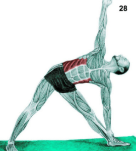 Standing Assisted Neck Flexion Stretch | Encore Rehabilitation, Inc.