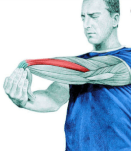 Standing Assisted Neck Flexion Stretch | Encore Rehabilitation, Inc.