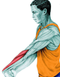 Standing Assisted Neck Flexion Stretch | Encore Rehabilitation, Inc.