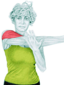 Standing Assisted Neck Flexion Stretch | Encore Rehabilitation, Inc.