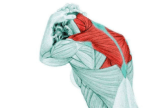 Standing Assisted Neck Flexion Stretch | Encore Rehabilitation, Inc.
